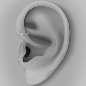 Anti Helix Piercing - Piercinghuset